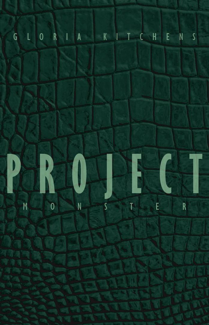 Upcoming Projects – Gloria Kitchens